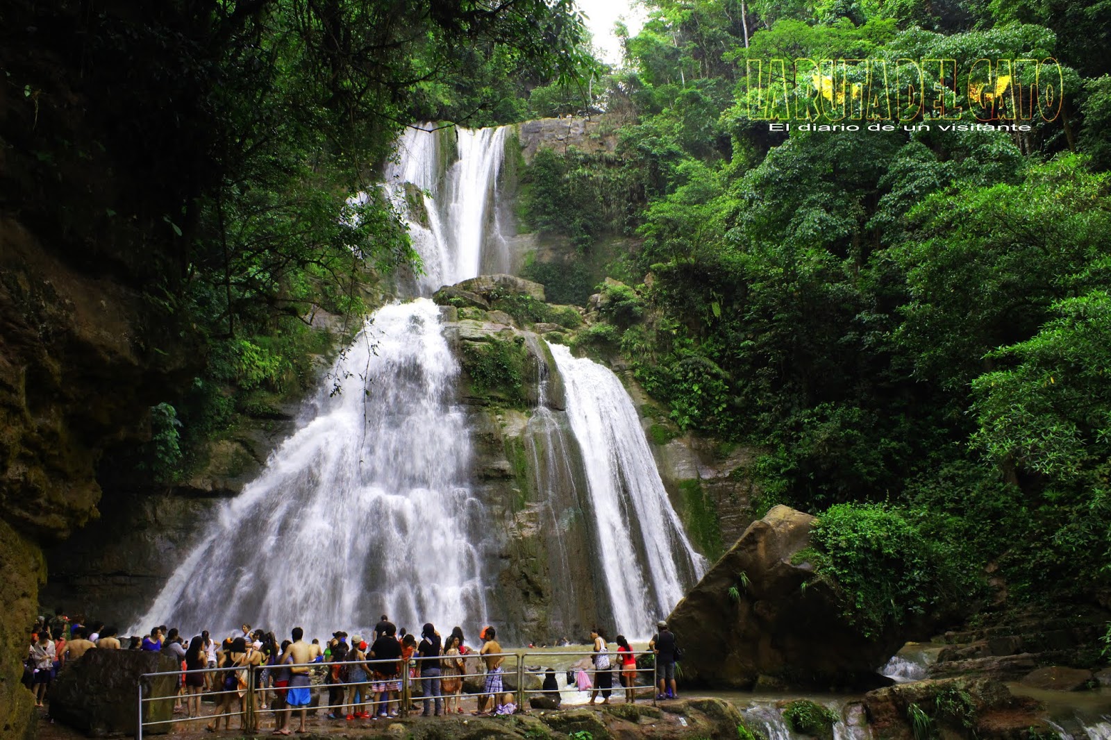 PAQUETE TURISTICO SELVA CENTRAL 3D/2N – Lamoni Tours